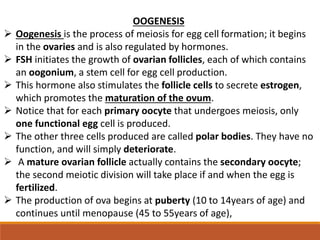 gametogenesis group 1.pptx