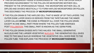 Gametogenesis in plants | PPTX