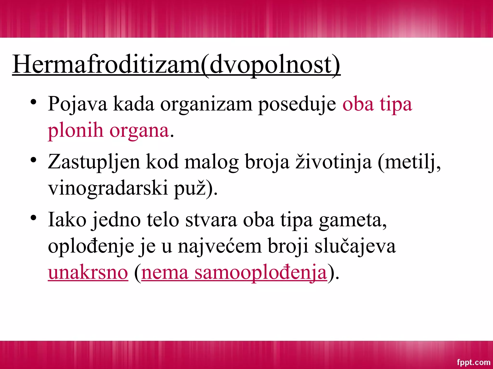 Gametogeneza | PPT