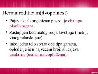 Gametogeneza | PPT