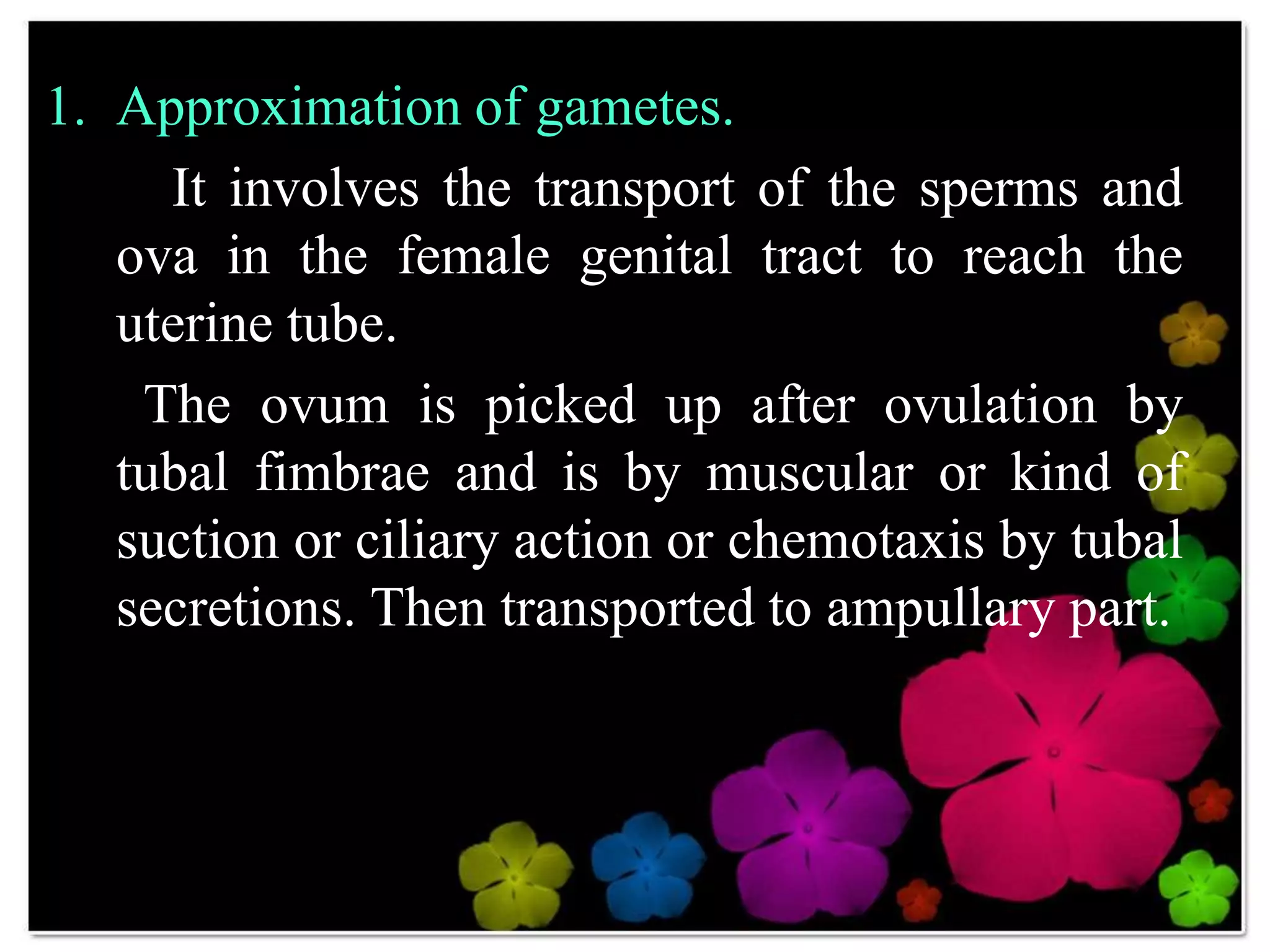 Gametogenisis, Fertilization | PPTX
