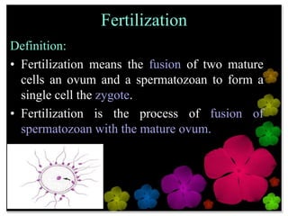 Gametogenisis, Fertilization | PPTX