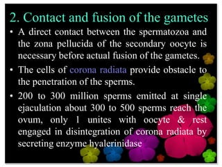 Gametogenisis, Fertilization | PPTX