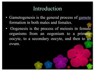 Gametogenisis, Fertilization | PPTX