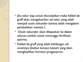 PENJELASAN TENTANG PROSES PEMBENTUKAN SEL GAMET ATAU GAMETOGENISIS | PPT