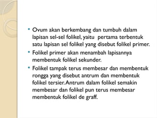 PENJELASAN TENTANG PROSES PEMBENTUKAN SEL GAMET ATAU GAMETOGENISIS | PPT