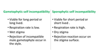 Gametophytic self incompatibility vs sporophytic self incompatibilty | PPTX