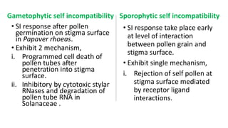 Gametophytic self incompatibility vs sporophytic self incompatibilty | PPTX