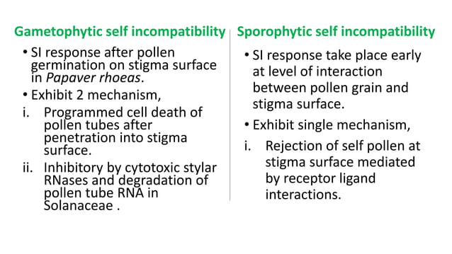 Gametophytic self incompatibility vs sporophytic self incompatibilty | PPTX