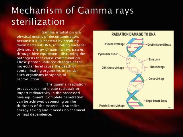 Gamma rays sterilization