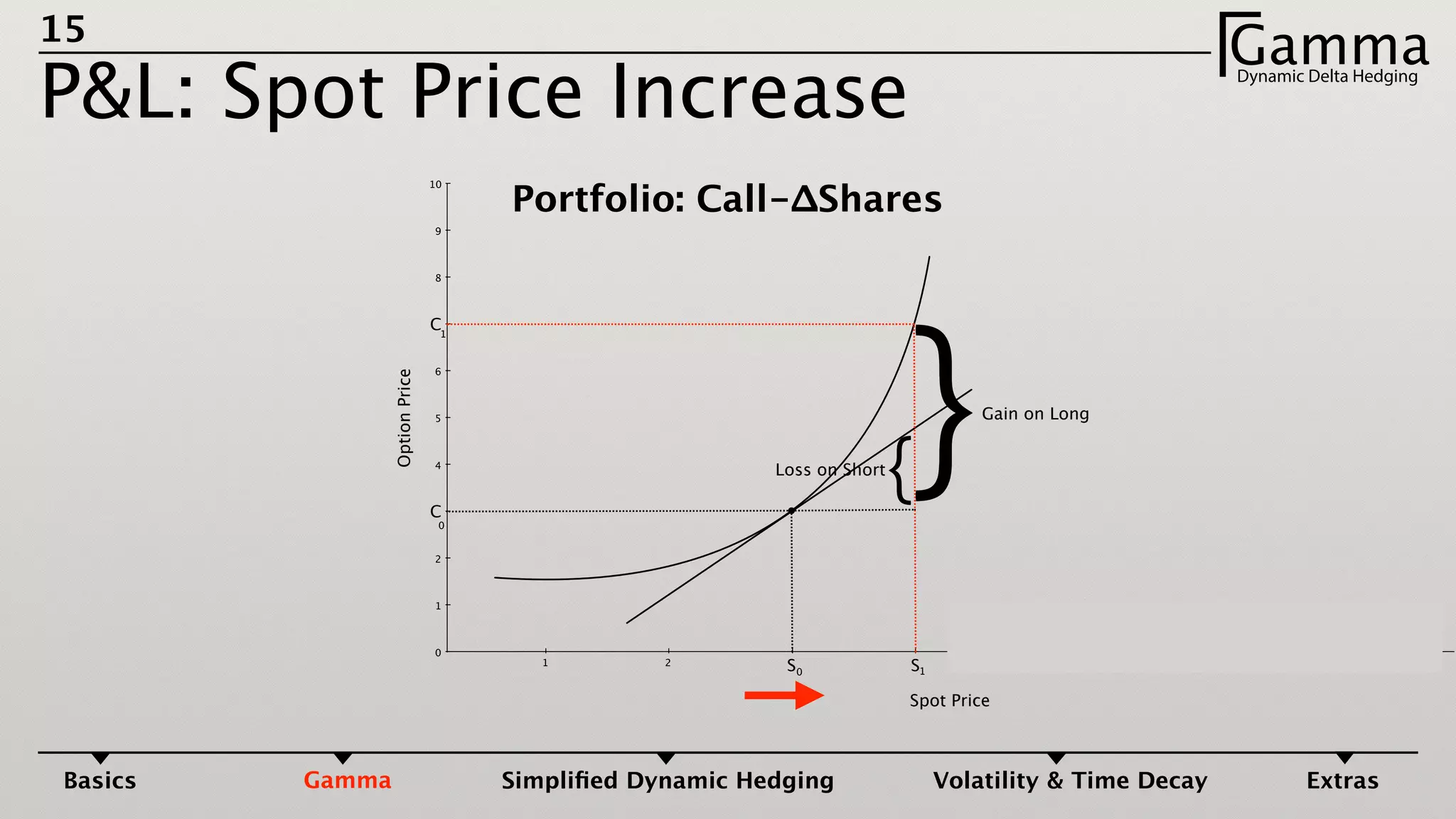 Option Gamma - Dynamic Delta Hedging | PDF