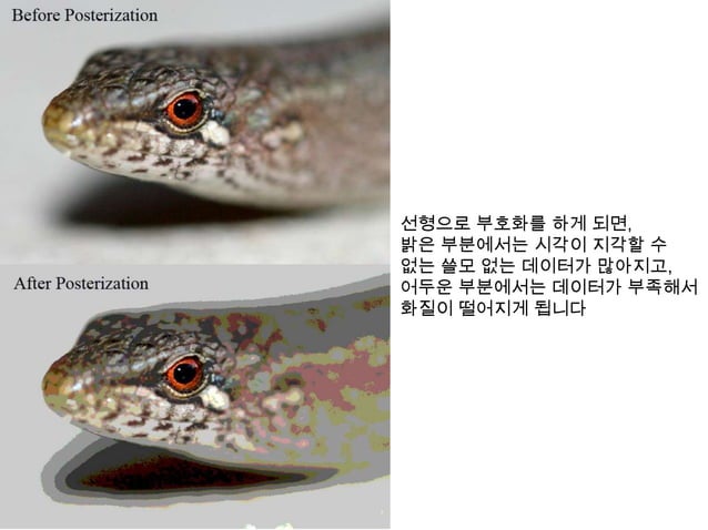 Gamma and linear color-space | PPTX