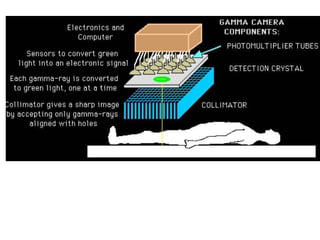 Gamma camera | PPT
