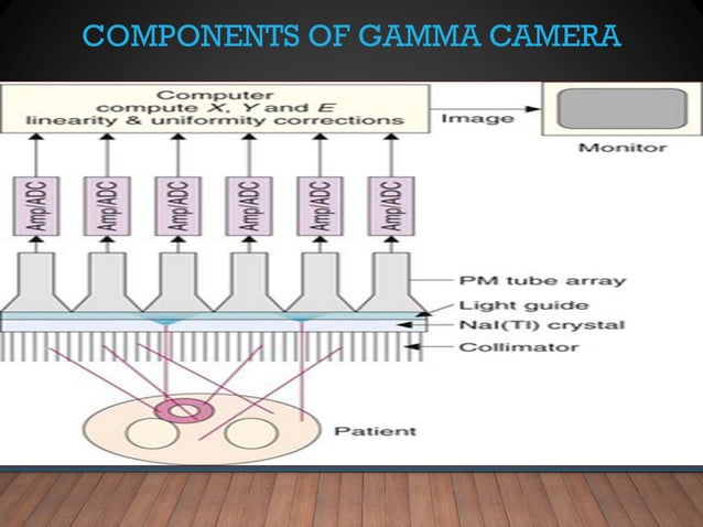 Gamma Camera by sameer ahmad.pdf | Physics | Science