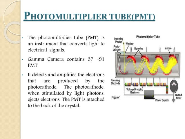 Gamma camera components | PPTX