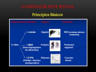 ESTUDIOS COMPLEMENTARIOS: Gammagrafia Renal | PPTX