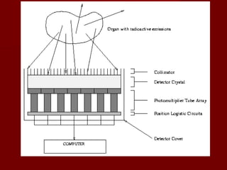 Gamma kamera (2) | PPT