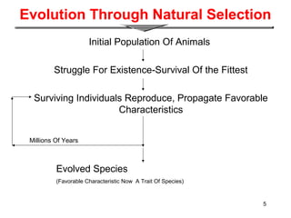 Genetic Algorithms - GAs | PPT