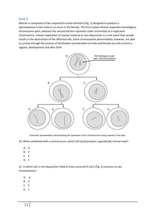 GAMSAT Practice Test (v0.15) | PDF