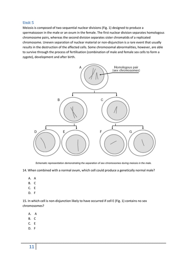 GAMSAT Practice Test (v0.15) | PDF | Standardized Testing | Educational ...