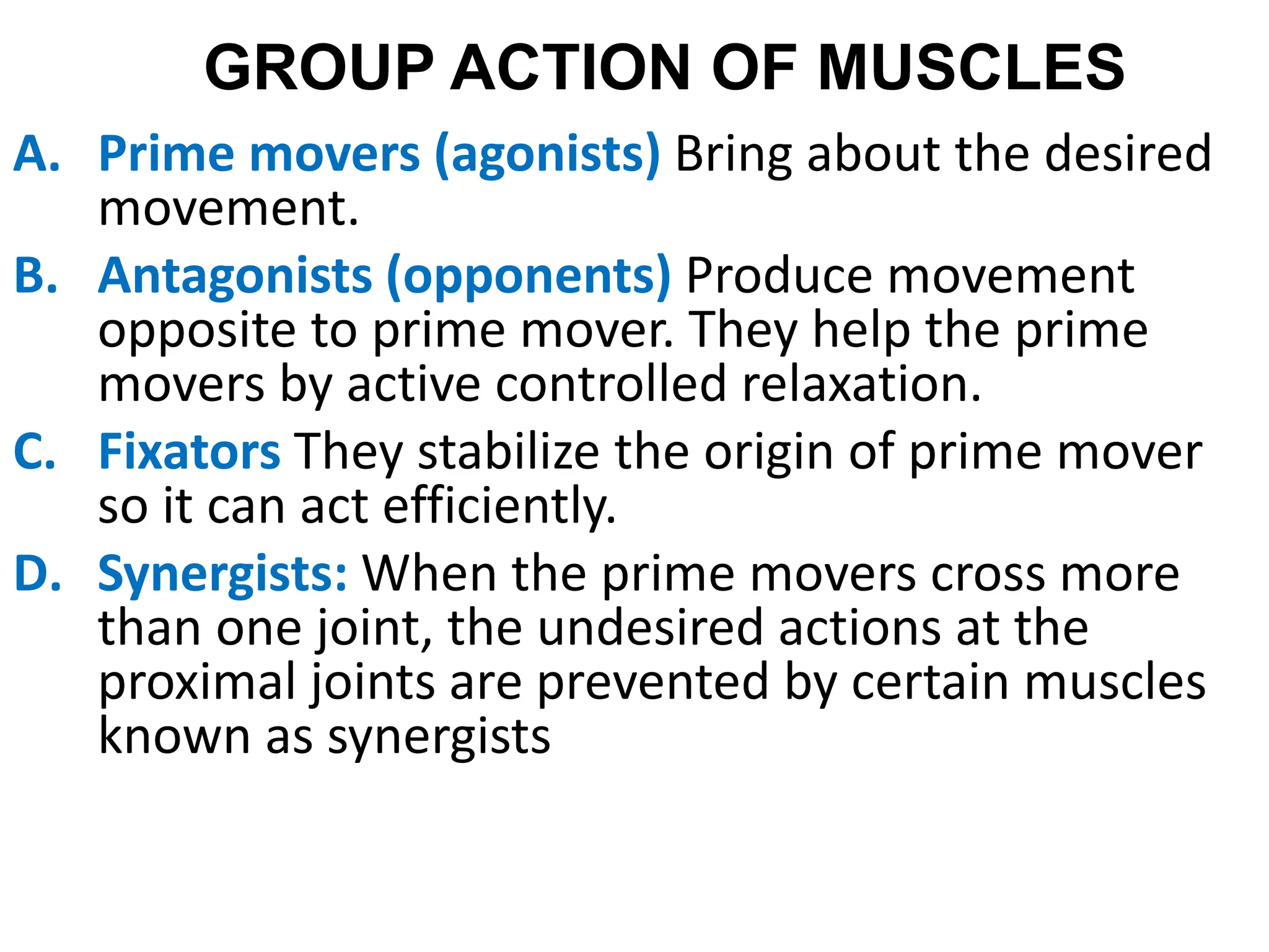 anatomy of muscle for all general muscle | PPT
