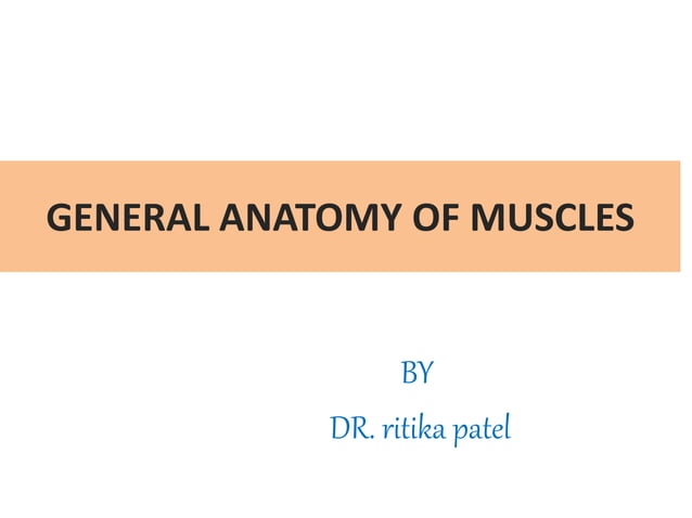 anatomy of muscle for all general muscle | PPT