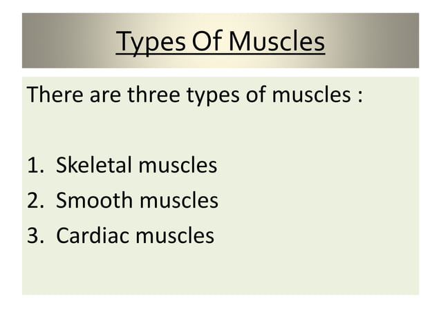 anatomy of muscle for all general muscle | PPT