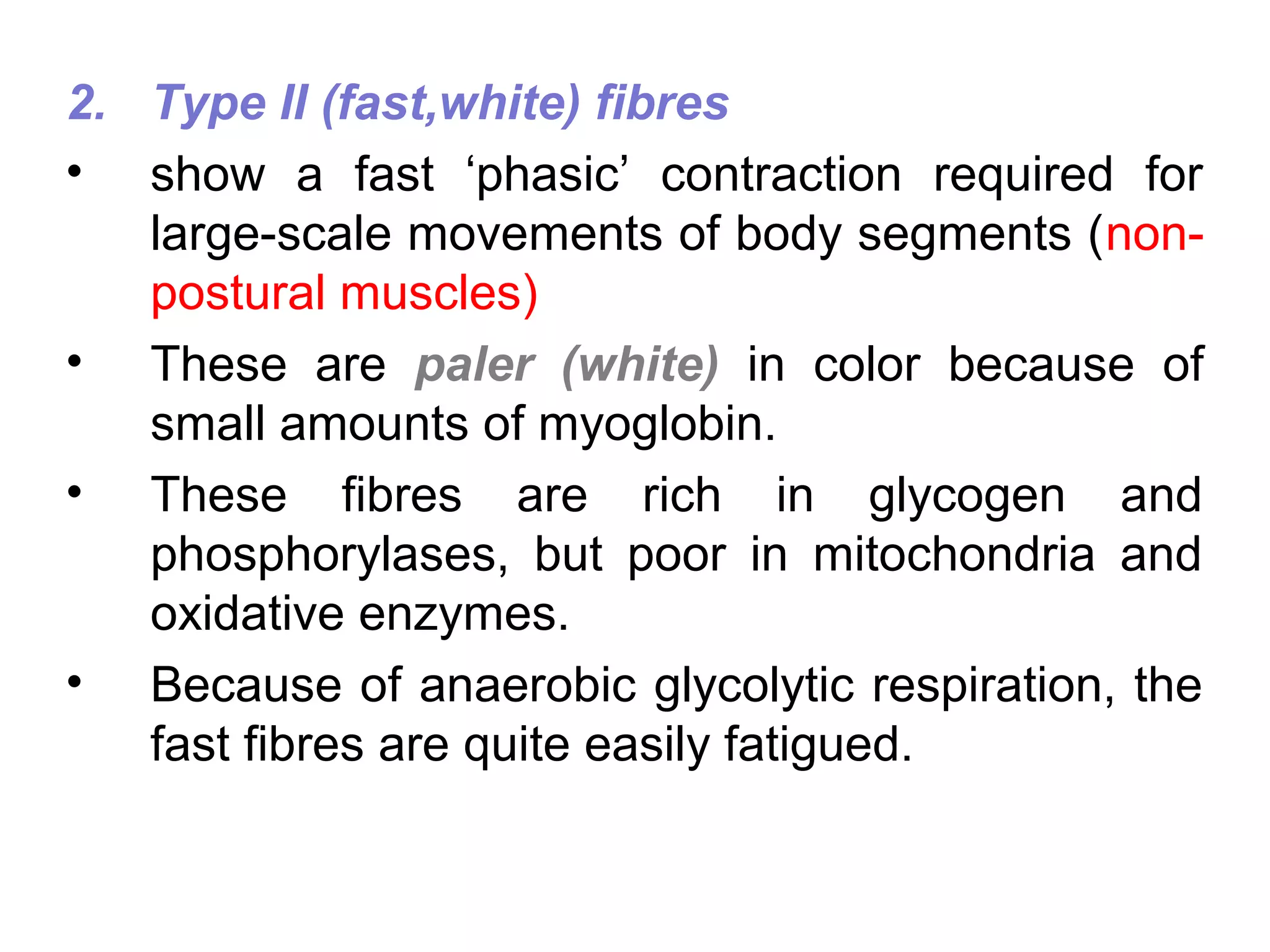 General anatomy of muscles | PPT