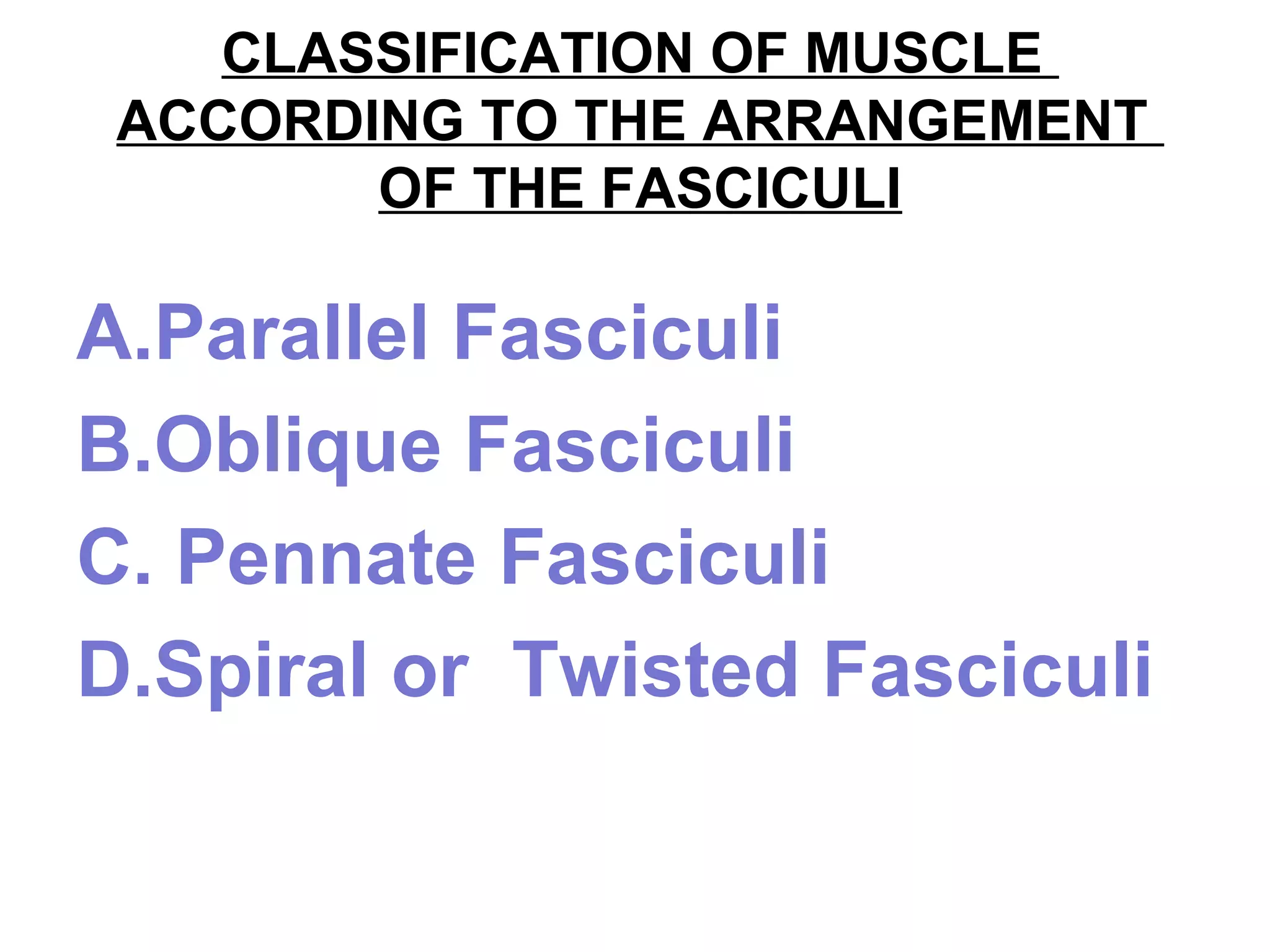 General anatomy of muscles | PPT