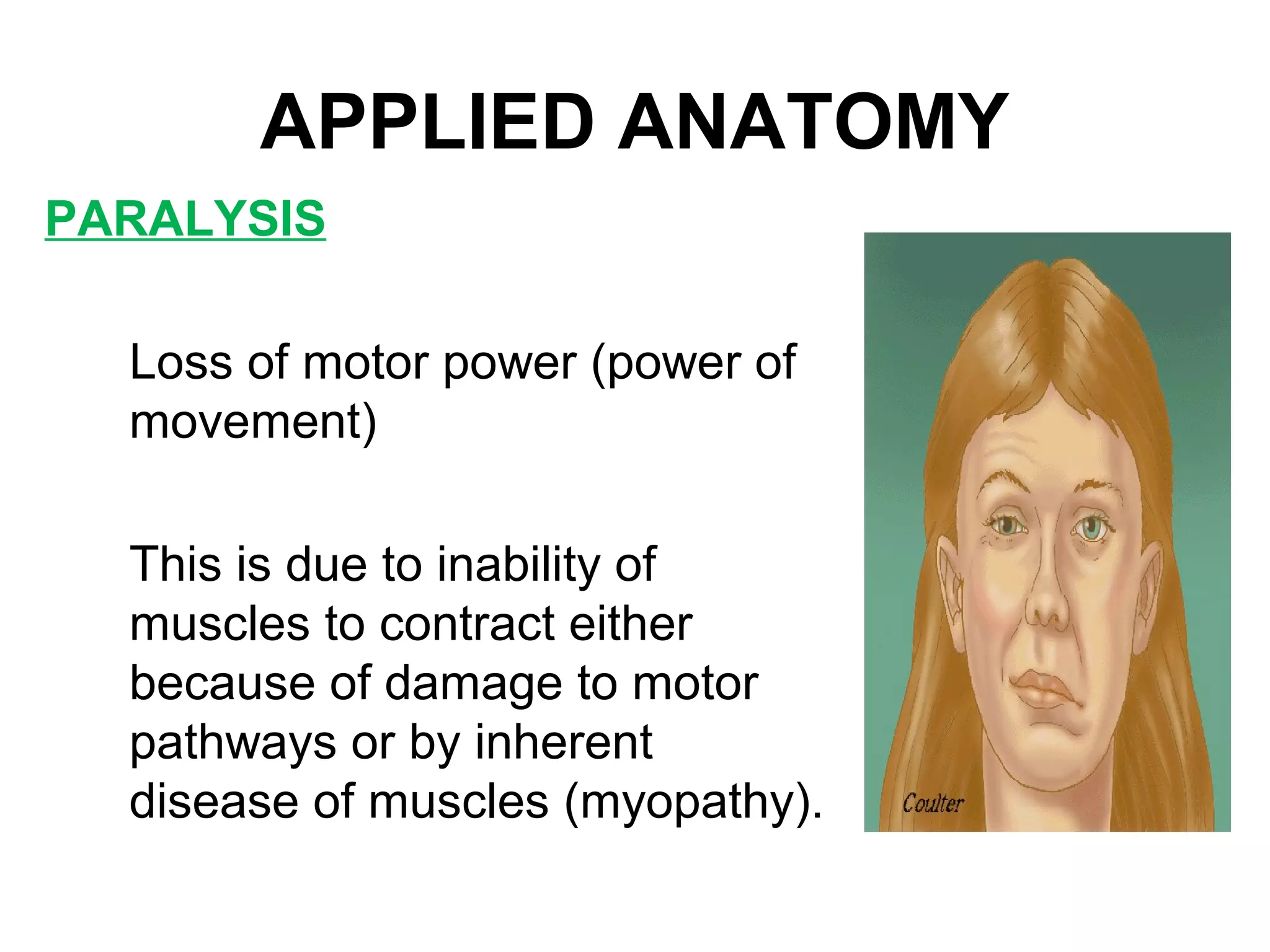 General anatomy of muscles | PPT
