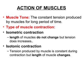 General anatomy of muscles | PPT