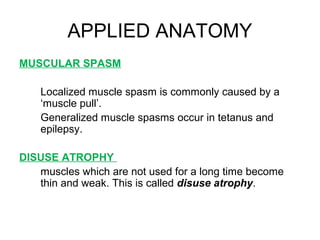General anatomy of muscles | PPT