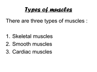 General anatomy of muscles | PPT