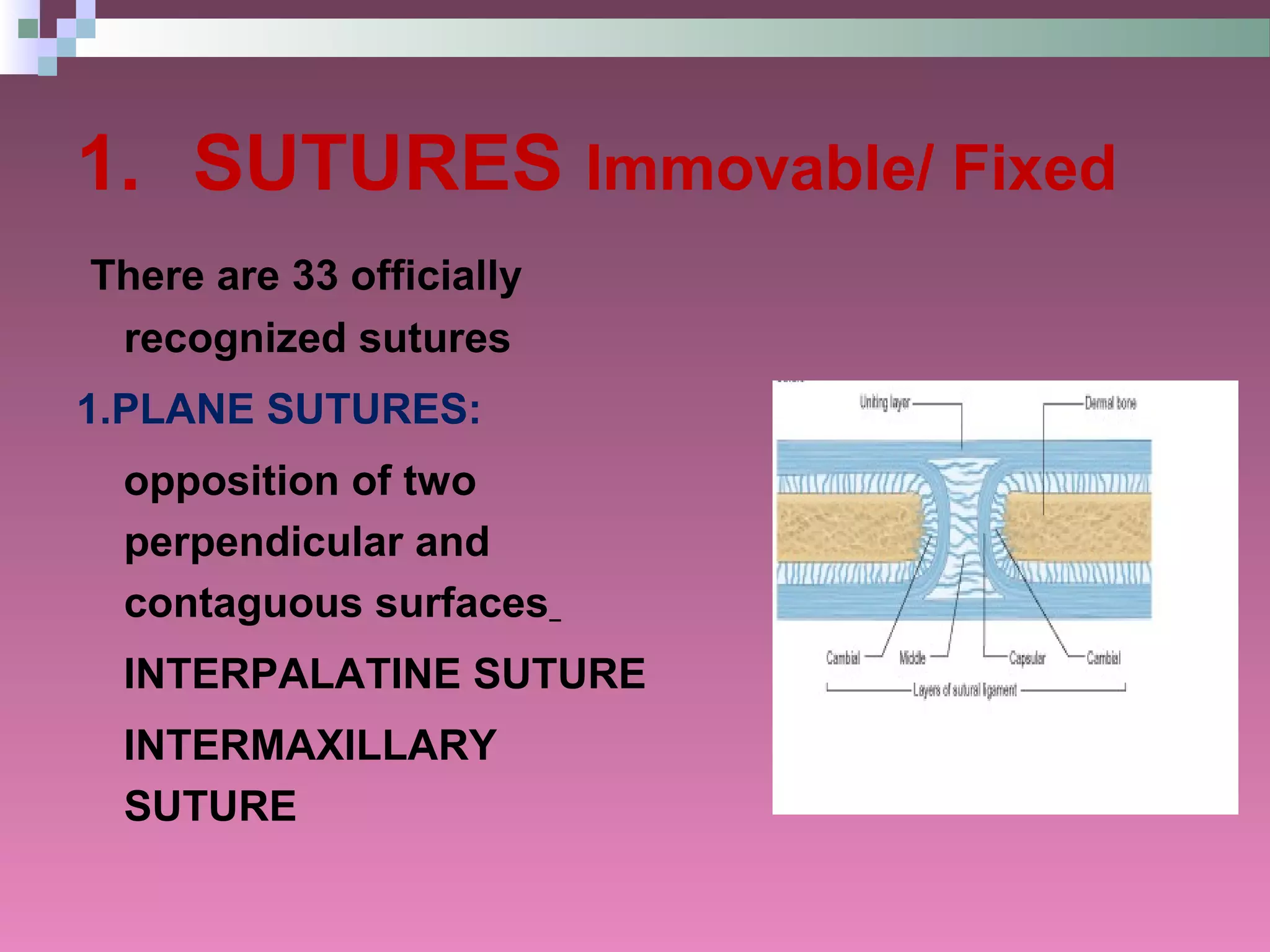 General Anatomy of Joints | PPT