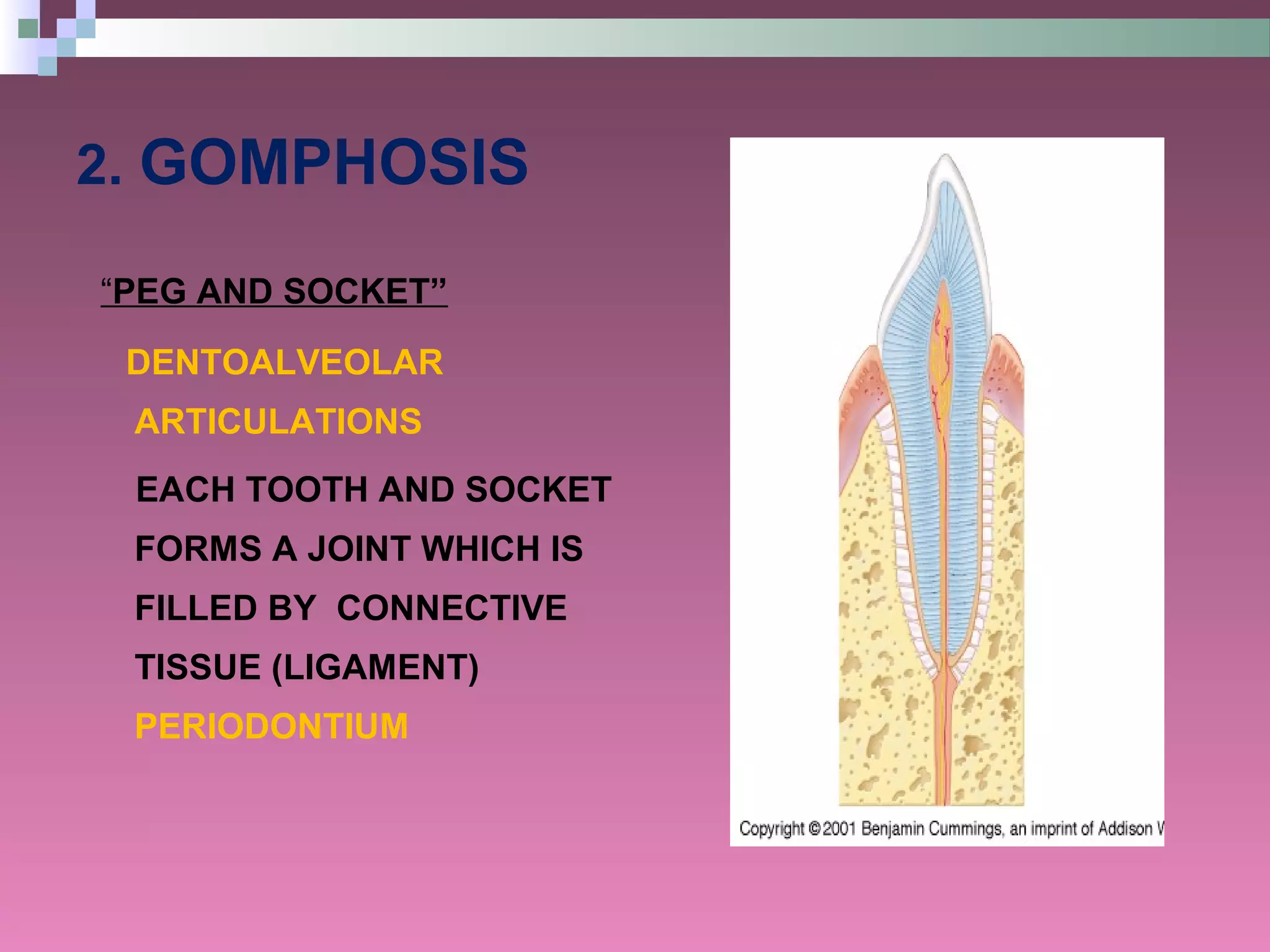 General Anatomy of Joints | PPT