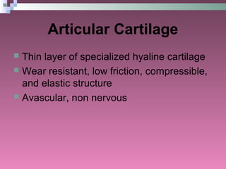 General Anatomy of Joints | PPT