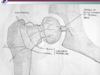 General Anatomy of Joints | PPT