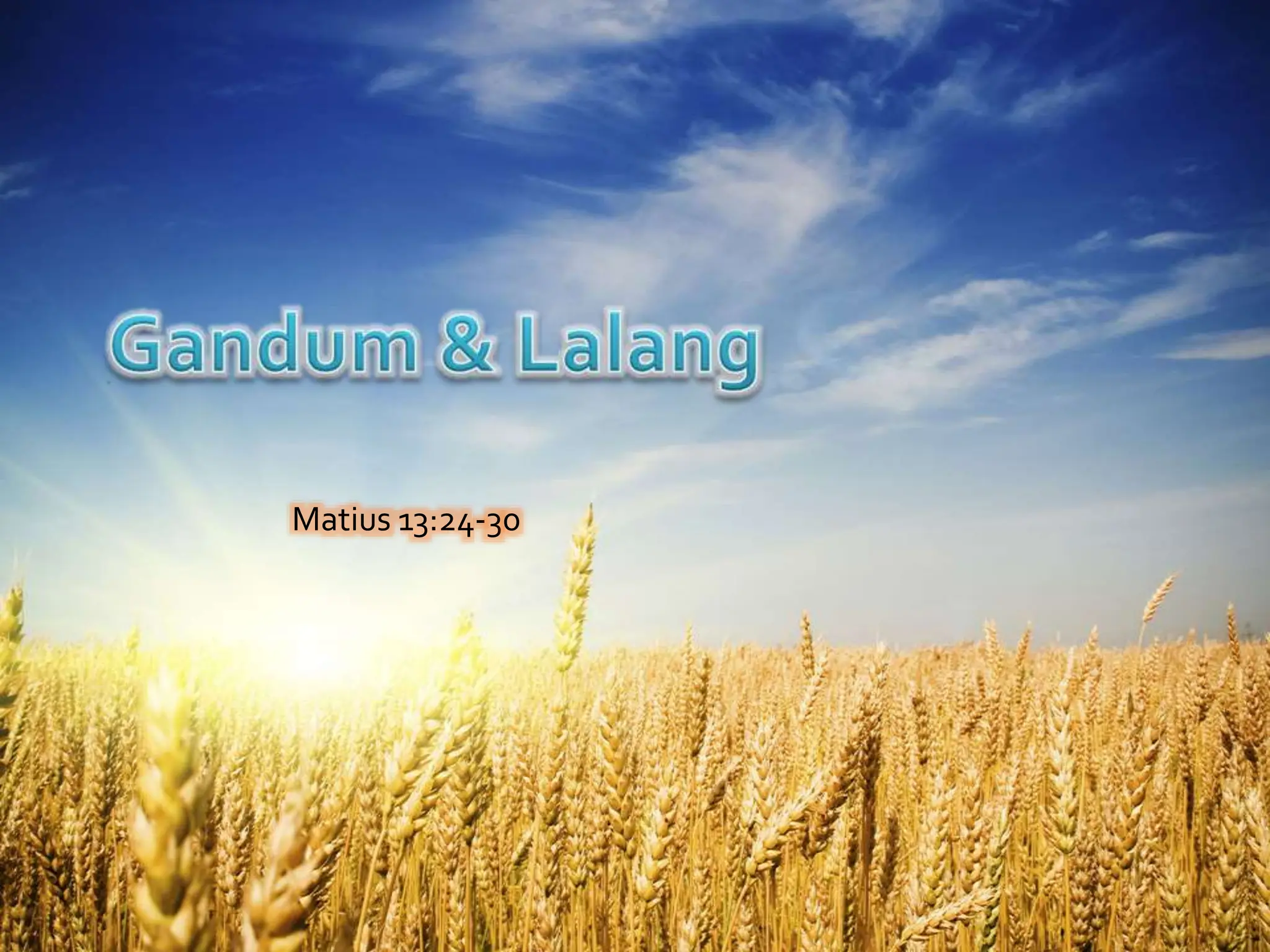 Gandum & Lalang (Matius......13_24-30).pptx