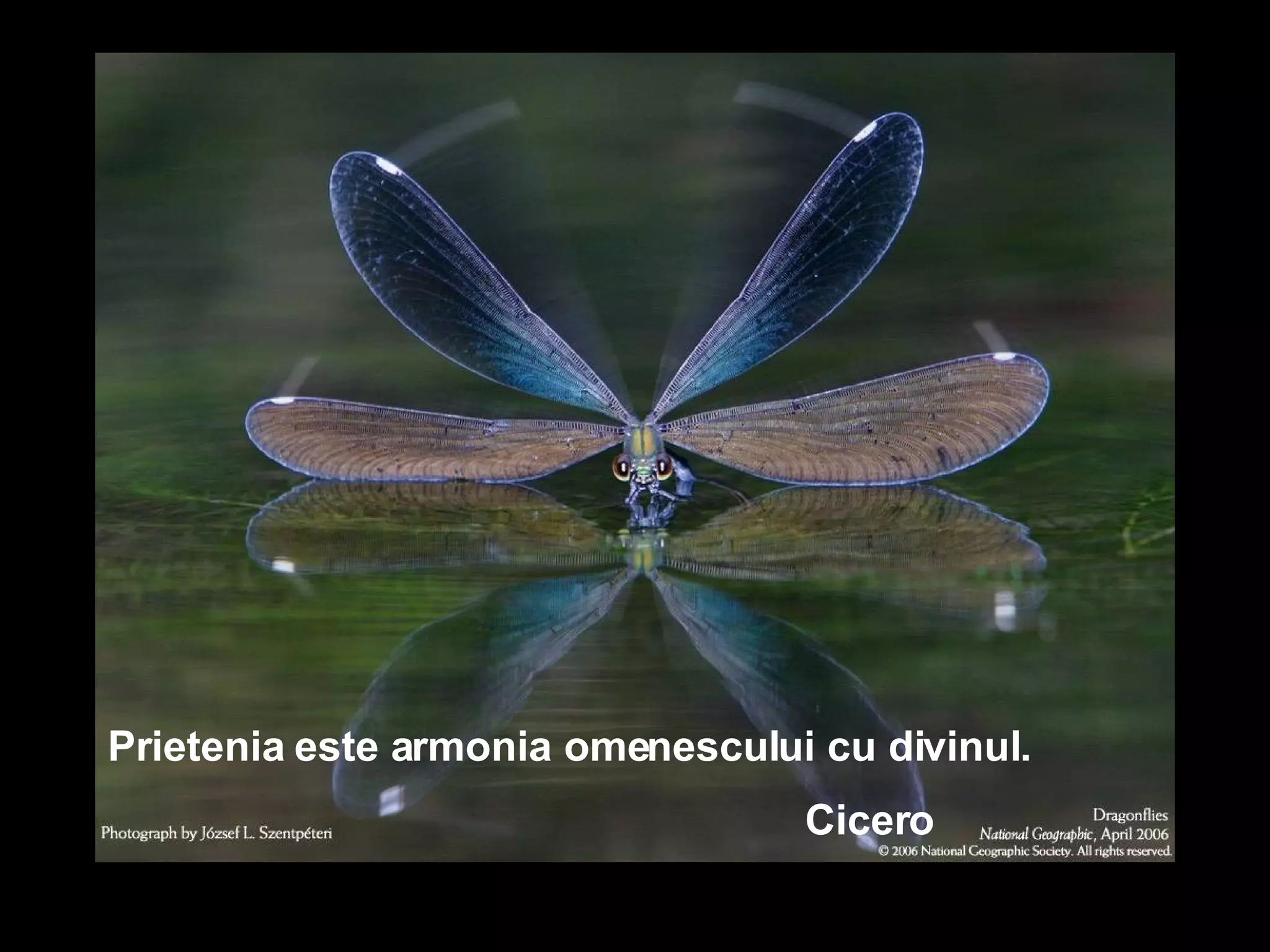 Ganduri Despre Prietenie-powerpoint primit pe mail si transformat in slideshow | PPS