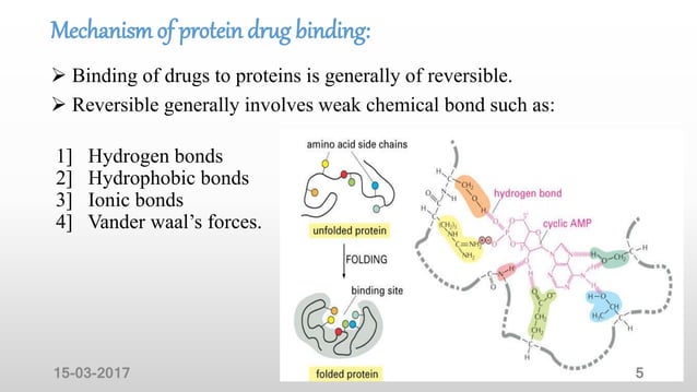 Protein Drug Binding