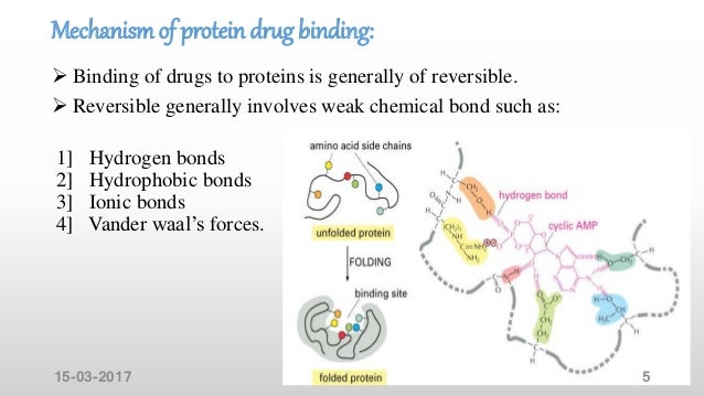 Protein Drug Binding