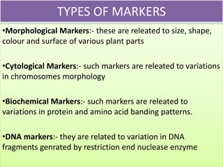 MARKER ASSISTED SELECTION | PPTX