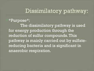 Anaerobic respiration of sulfur in microbial physiology | PPTX