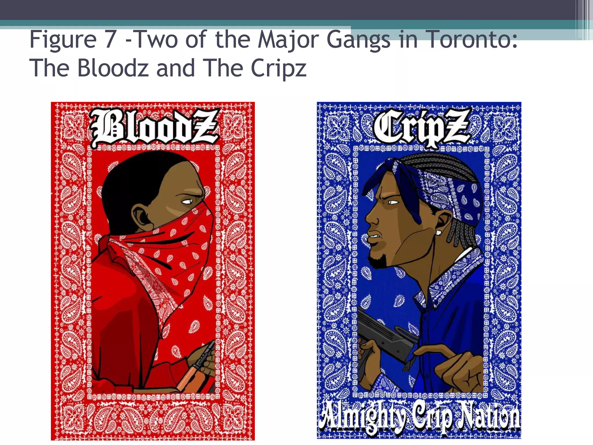 0747405 Gang Violence | PPT