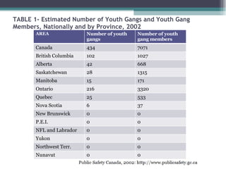 0747405 Gang Violence | PPT