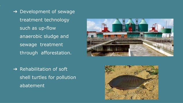 Ganga Action Plan_Final ,ganga pollution | PPT