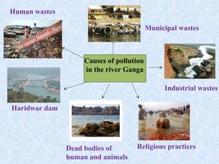 Causes Of Ganga River Pollution