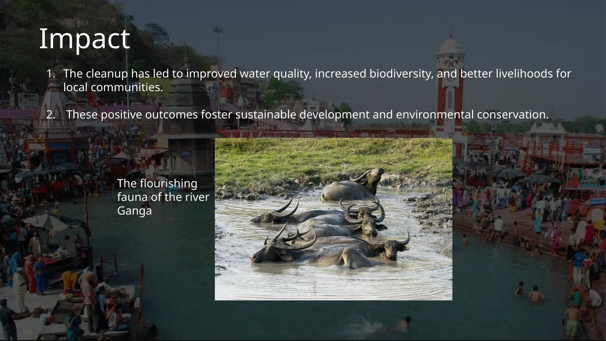Namami Gange - The Government of India's action plan | PPTX