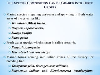Ganga & brahmaputra | PPTX