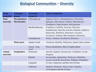 Ganga & brahmaputra | PPTX